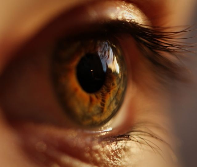 'Jaundiced Eye' | Notre Dame Catholic Sixth Form College, Leeds